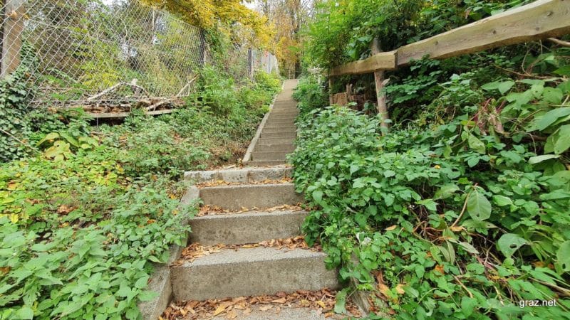 Reinerkogel über die Jakobsleiter