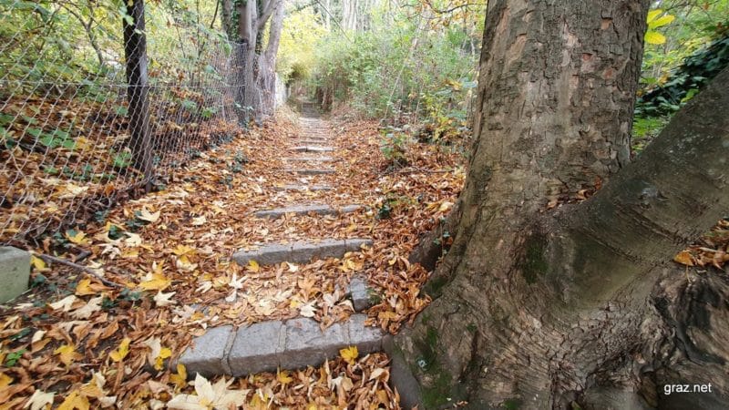 Reinerkogel über die Jakobsleiter