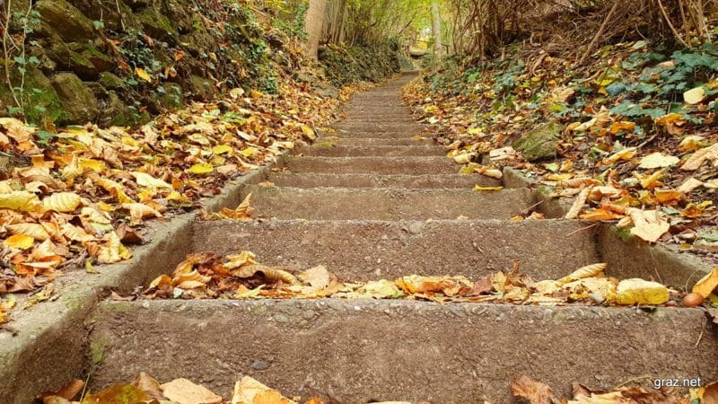 Reinerkogel über die Jakobsleiter