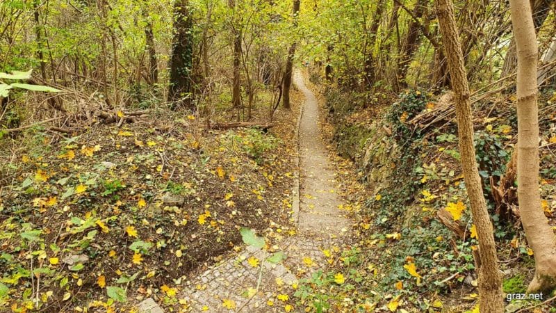 Reinerkogel über die Jakobsleiter