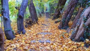 Reinerkogel über die Jakobsleiter