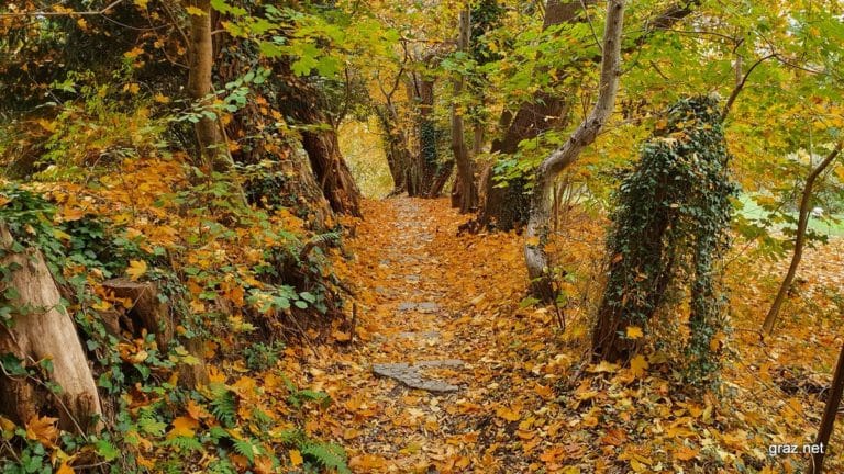 Reinerkogel über die Jakobsleiter