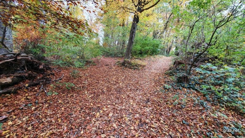 Reinerkogel über die Jakobsleiter