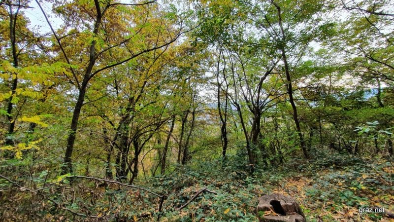 Reinerkogel über die Jakobsleiter