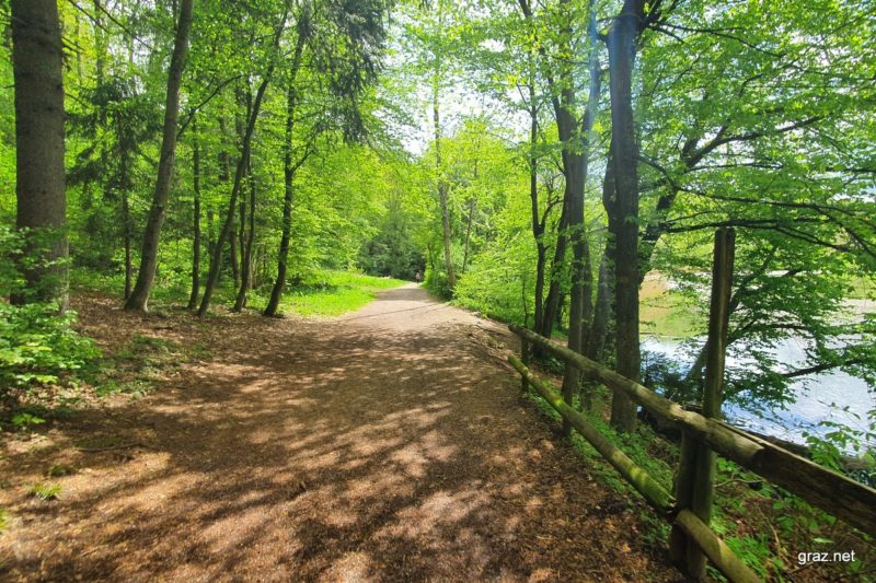 Thalersee - Naherholung in der Nähe von Graz - Infos und tolle Fotos