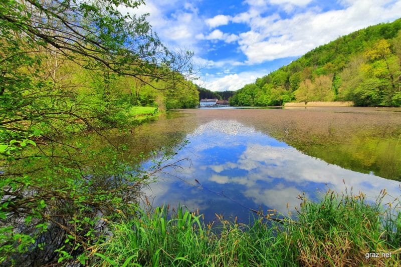 Thalersee - Naherholung in der Nähe von Graz - Infos und tolle Fotos
