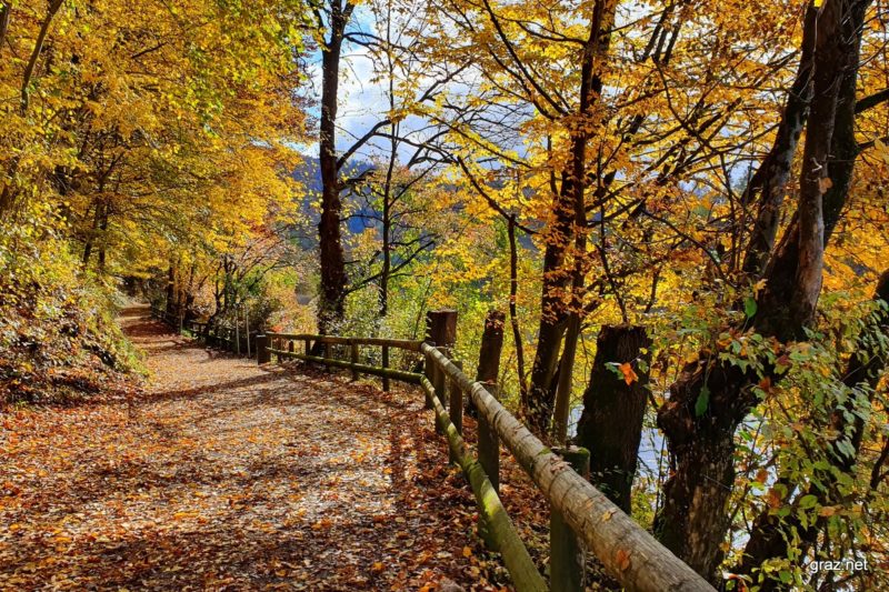 Thalersee - Naherholung in der Nähe von Graz - Infos und tolle Fotos