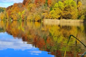 Thalersee - Naherholung in der Nähe von Graz - Infos und tolle Fotos
