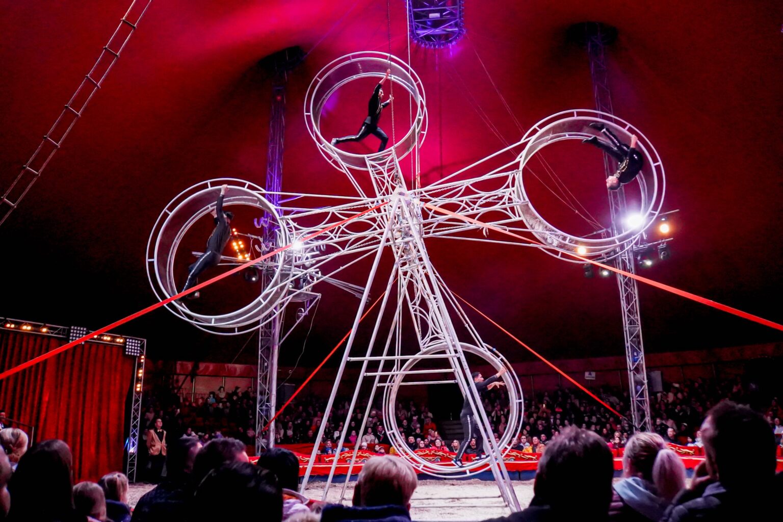 Circus Alex Kaiser kommt nach Seiersberg